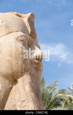 The Memphis sphinx, detail, 1550-1069 BC circa, detail, egyptian ...