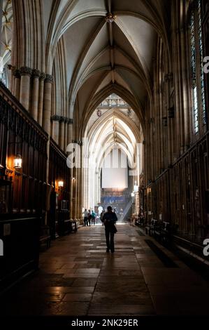 Perpendicular Gothic York Minster rib vaulted ceiling and Rose window ...