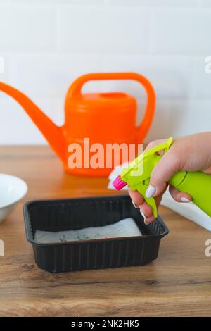 A woman sprays from a spray gun home plants from her collection, grown ...