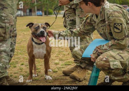 The United States Army's most qualified uniformed interrogation teams ...
