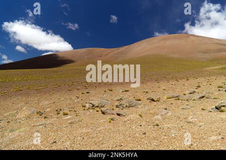 The red color of the landscapes of the Puna, Argentina Stock Photo - Alamy
