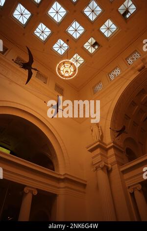 The Stanley Field Hall, at the Field Museum, Chicago, Illinois, USA ...