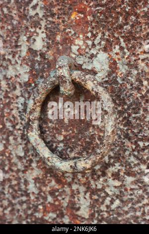 Medieval loop door handle with lots of iron and rust in a black and ...