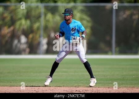 Miami Marlins shortstop Nasim Nunez (4) bats during a MiLB Spring ...