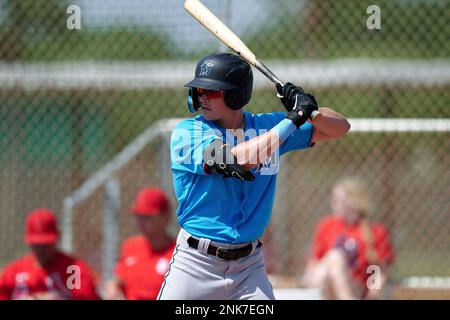 Miami Marlins outfielder Griffin Conine (14) bats during a MiLB Spring ...