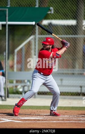 St. Louis Cardinals' Alec Burleson (41) walks off the field as members ...