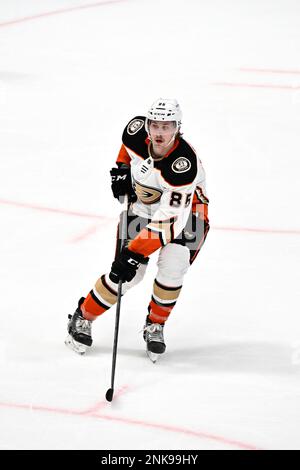 Anaheim Ducks defenseman Simon Benoit (13) scores against Anaheim Ducks ...