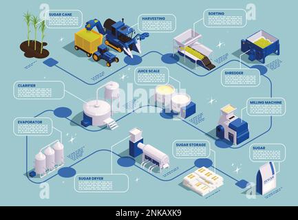 Sugar production isometric flowchart with harvesting sorting clarifier ...