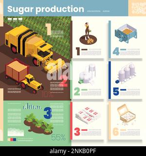 Sugar cane production isometric infographics with cane harvester ...