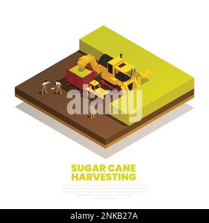 Sugar cane harvesting isometric composition with special machinery ...