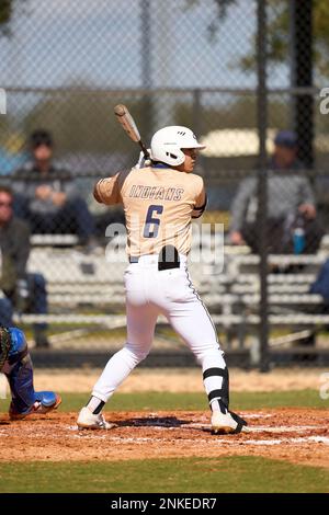 Chipola Indians Peter Vazquez (6) bats during a game against the ...