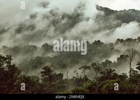 The River Congo is one of the world's largest rivers and has been the ...