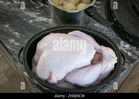 Turkey carcass in roasting pot on kitchen counter with other pots, in ...