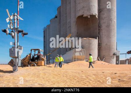 Damage to the Landus Cooperative grain elevator in Yetter, Iowa, is ...