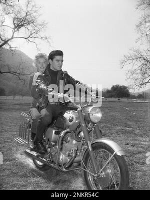 ROUSTABOUT, Barbara Stanwyck, 1964 Stock Photo - Alamy