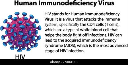 Human immunodeficiency virus with explanation illustration Stock Vector ...