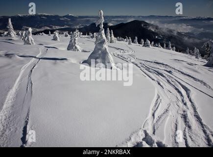 Ski marks on steep snow slope landscape photo Stock Photo - Alamy