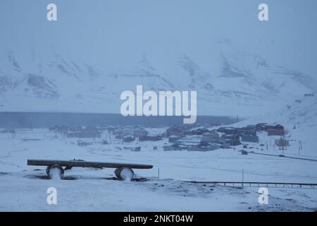 Longyearbyen, Norway. 23rd Feb, 2023. Svalbard reindeer (Rangifer ...