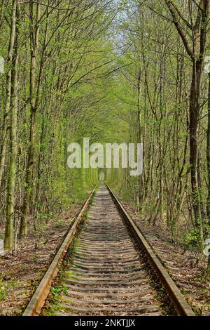 Wonder of Nature - Real Tunnel of Love, green trees and the railroad ...