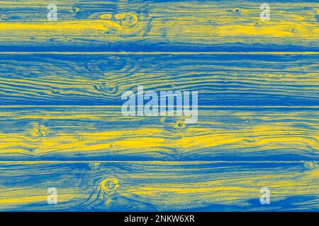 wooden wall made of logs colored in colors of Ukrainian flag Stock ...