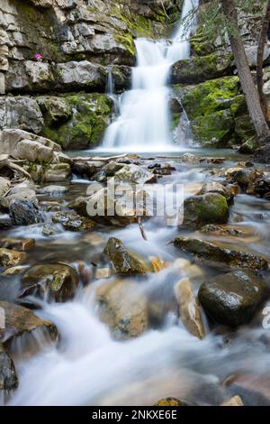 Troll Falls, Kananaskis Country Alberta Canada in the summertime Stock ...