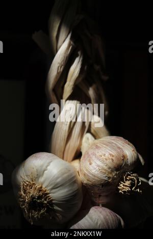 7 braided garlic bulbs on black background Stock Photo - Alamy