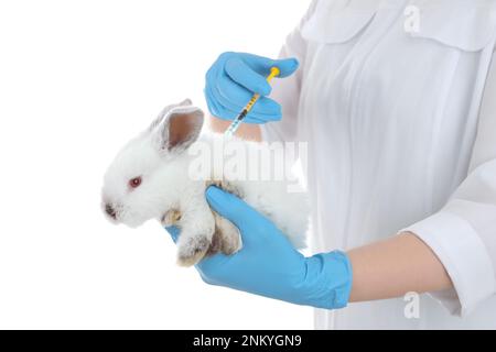 Scientist with syringe and rabbit on white background. Animal testing ...