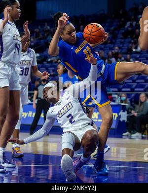 Hofstra forward Jaylen Hines (11) grabs a rebound against James Madison ...