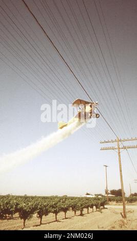 1970s United States: Cropduster, sulfur-dusting of grape vines ca. 1972 ...