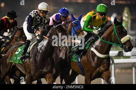 Horses gallop into the first turn in the G3 Longines Red Sea Turf ...