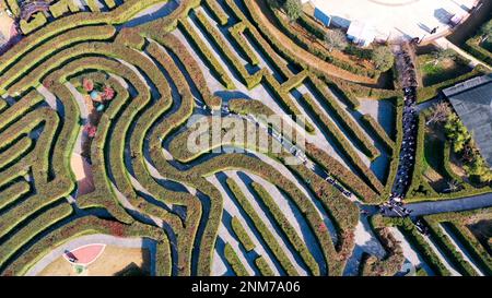 An aerial view of a theme park of mazes in Dafeng district of Yancheng ...