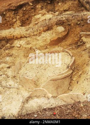 A row of cylindrical clay figures is excavated at an ancient tomb "Mozu ...