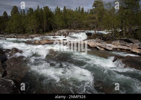 Saltelva rapid in Saltdal community in Nordland Province in Norway ...