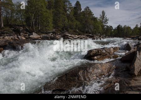 Saltelva rapid in Saltdal community in Nordland Province in Norway ...