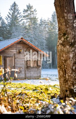 Wooden hut in the forest, Schoemberg, Black Forest, Germany Stock Photo ...
