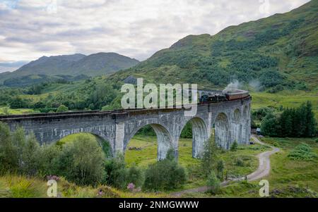 Glenfinnan Viaduct with Steam Locomotive, Jacobin Express, Harry Potter ...