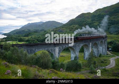 Glenfinnan Viaduct with Steam Locomotive, Jacobin Express, Harry Potter ...
