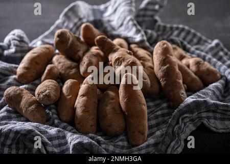 Bamberger Hoernla, also Bamberger Hoernchen, an old potato variety from ...