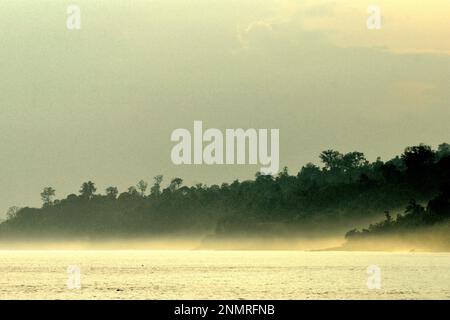 Lowland rainforest of Tangkoko Nature Reserve is seen from the nearby ...