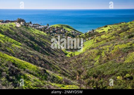 Corral Canyon, Pacific Ocean, March 2019, after Woolsey Fire of Nov ...