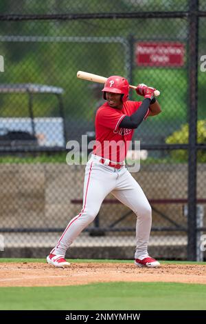 Philadelphia Phillies Jadiel Sanchez (53) bats during an Extended ...