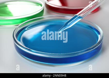 Dripping light blue liquid into Petri dish on white background, closeup ...