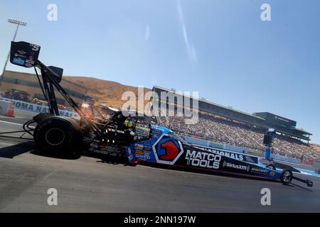SONOMA, CA - JULY 24: Antron Brown (5 TF) Matco Tools NHRA Top Fuel ...