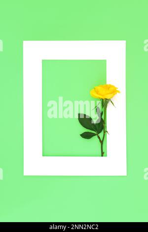 Memorial RIP background border. Rose freesia flower on white frame on ...