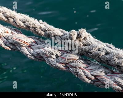 Two weathered hemp ropes for fastening ships in a harbour. Greenisch ...