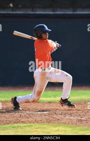 Connor Milton (1) (Illinois) of the Kingsport Axemen during a game ...
