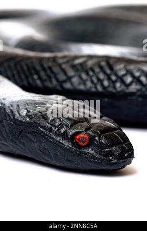 Black snake toy isolated on white background Stock Photo - Alamy