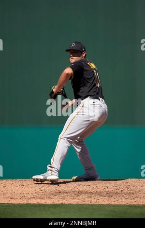 Pittsburgh Pirates pitcher David Bednar delivers during the fifth ...