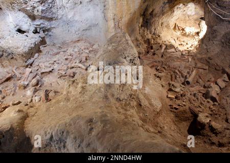 This image released by the Italian Culture Ministry shows a fossil jaw ...
