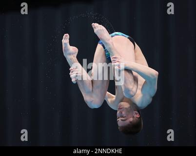 Russia's Ruslan TERNOVOI performs during Men's 10m Platform Final of 22nd FINA Diving World Cup ...